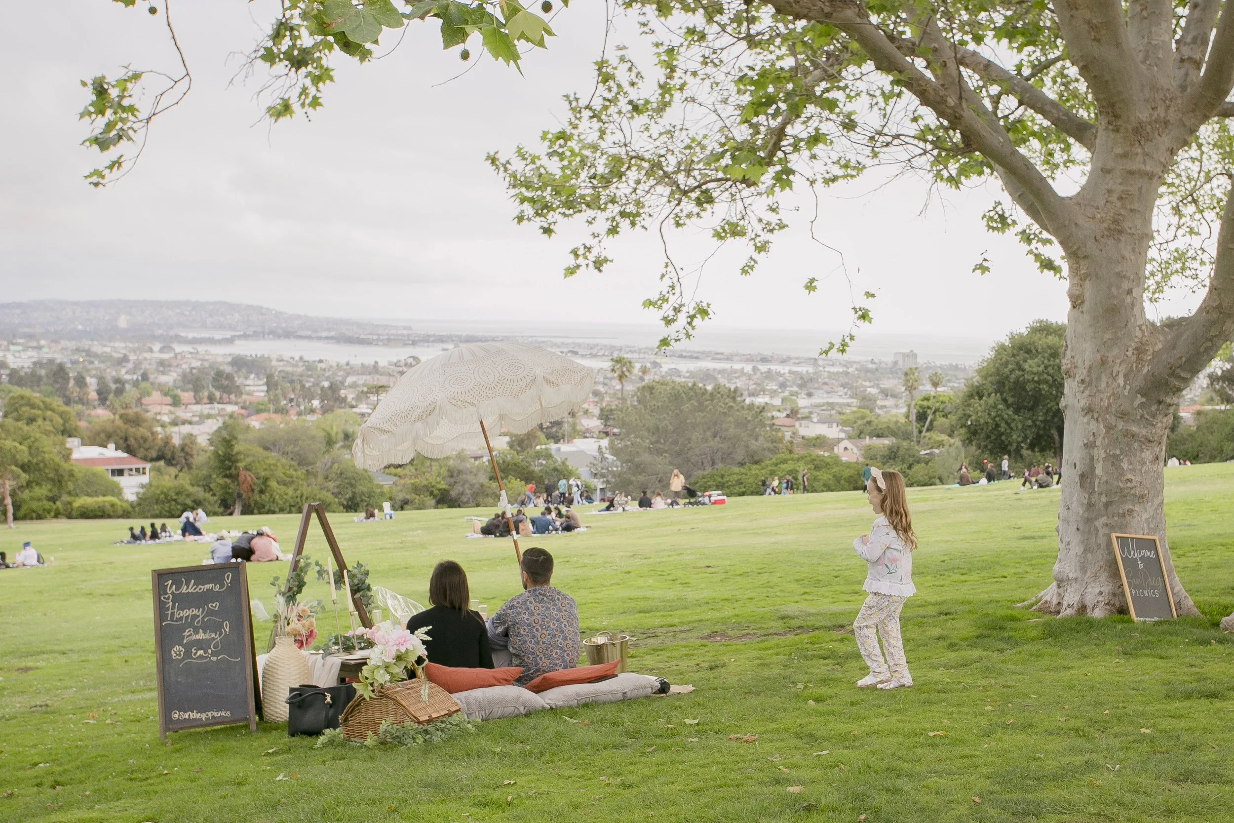 All Picnic Packages — San Diego Picnics | Luxury Picnics