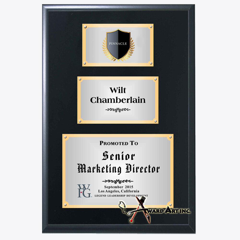 WFG Promotional Plaques- Your Own Team Associate, Senior Associate ...