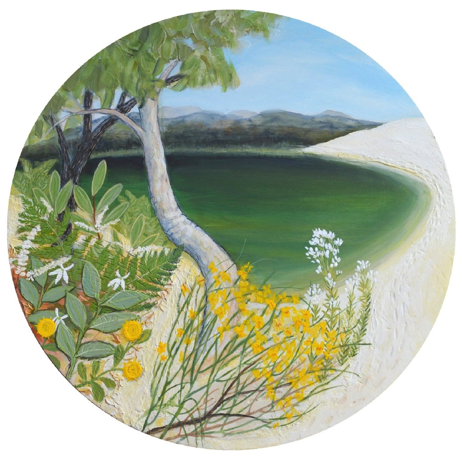 Gallery - Wendy Olsen - Artist — Wendy Olsen - Artist