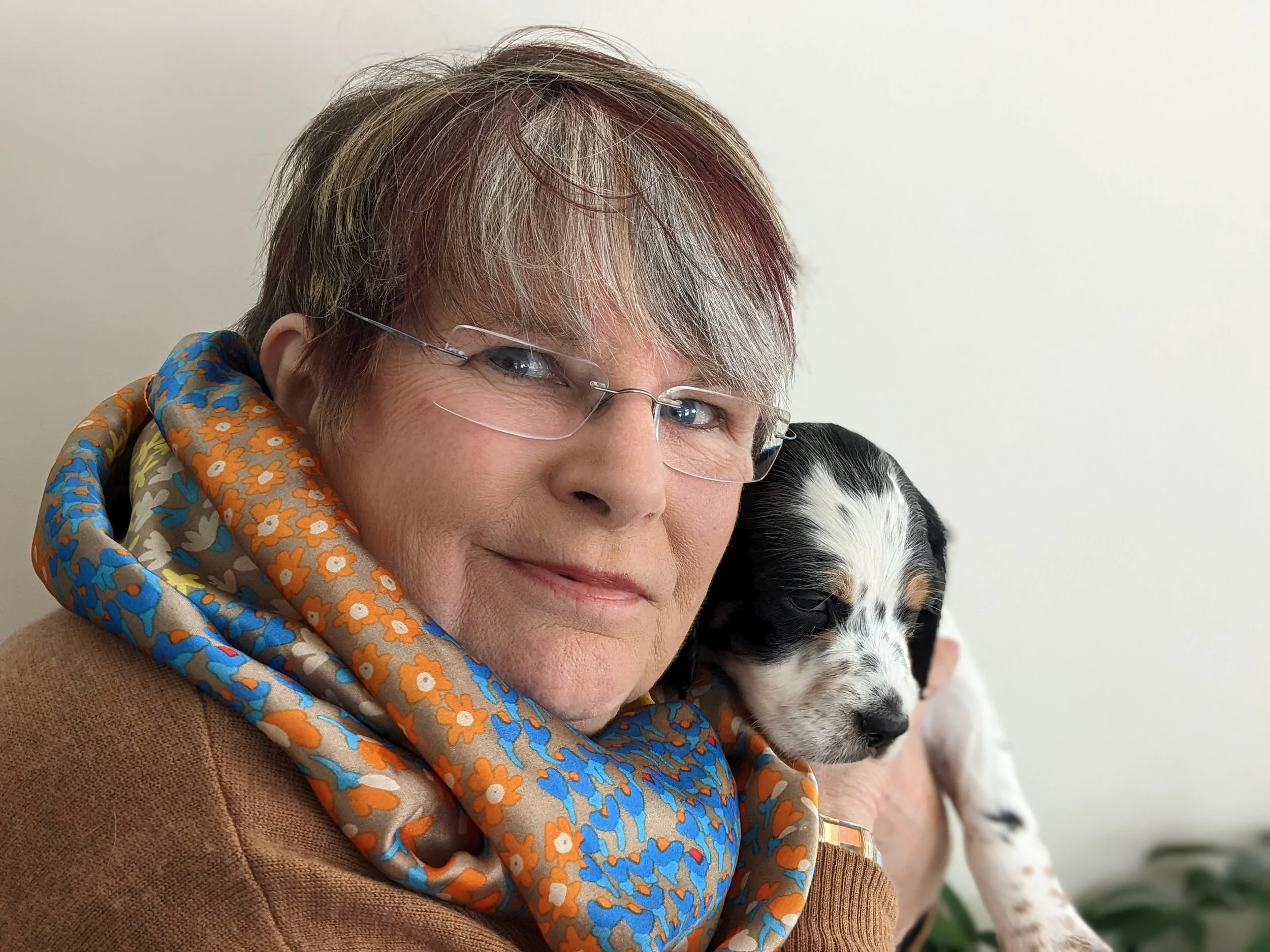 d.k. kennedy, writer