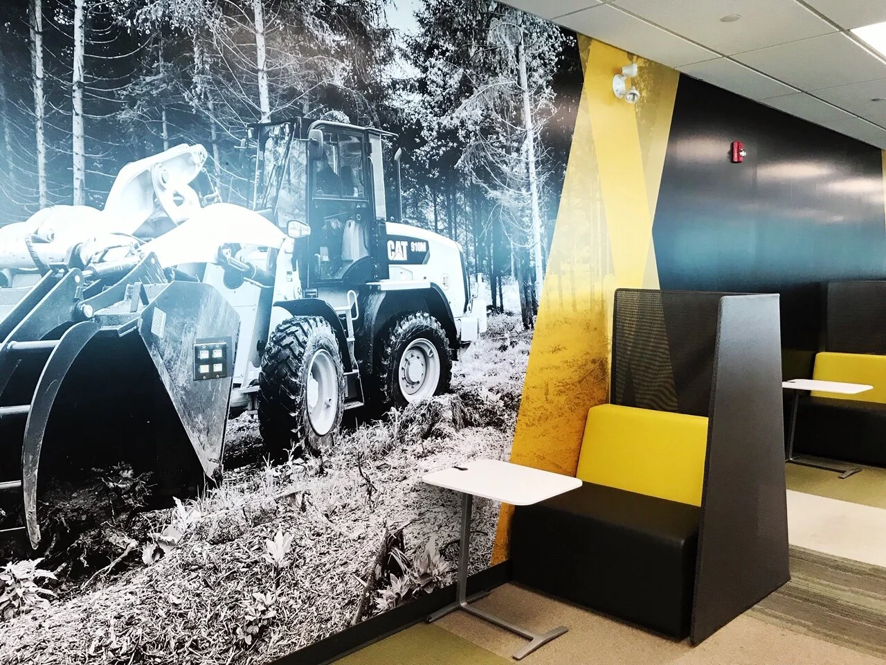 Finning Wall Murals — Graphic Design | Lianne Charlene Creative ...