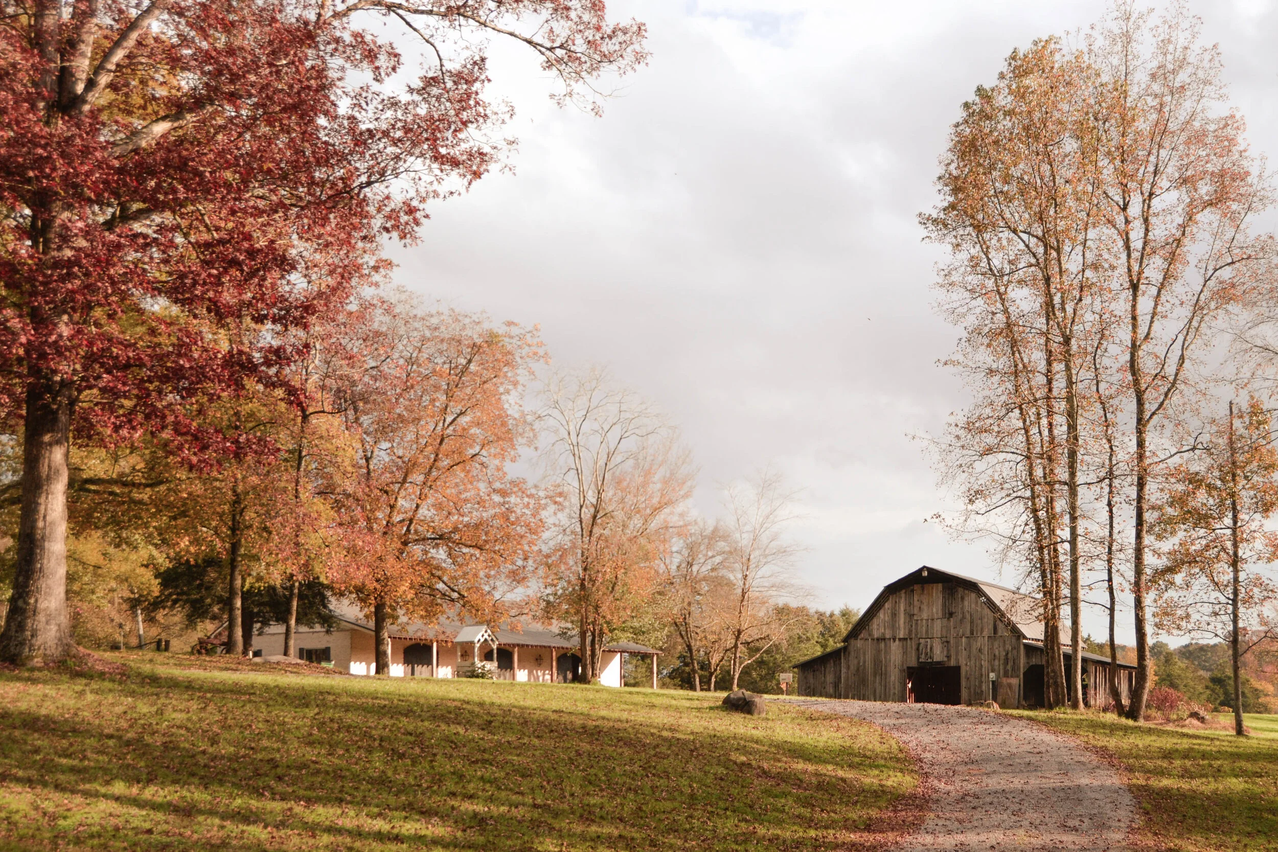 Gallery 1 — MAGNOLIA CREEK FARMS