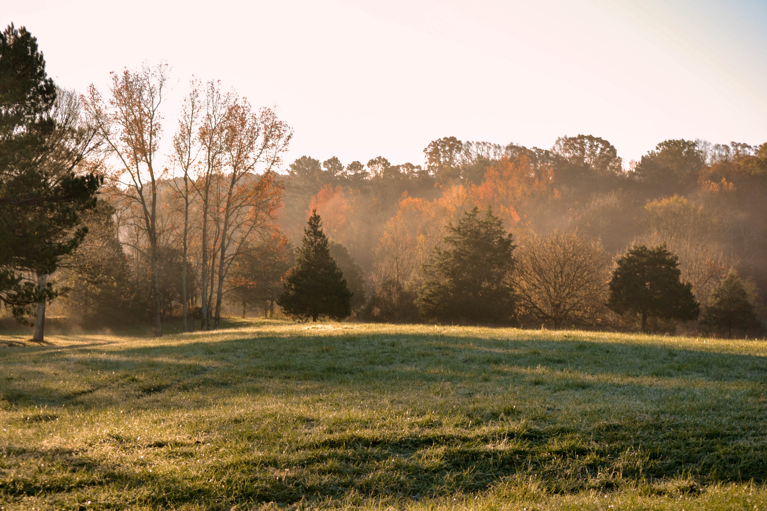 Gallery - Magnolia Creek Farms Photo Gallery