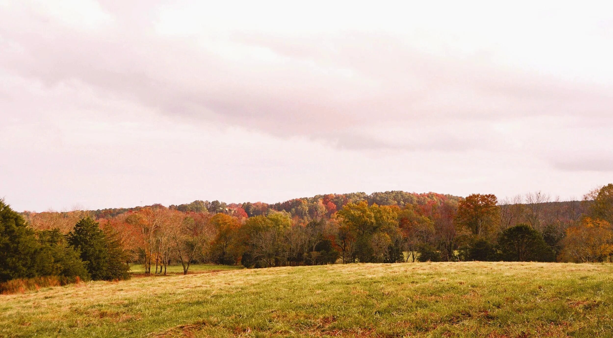 Gallery - Magnolia Creek Farms Photo Gallery