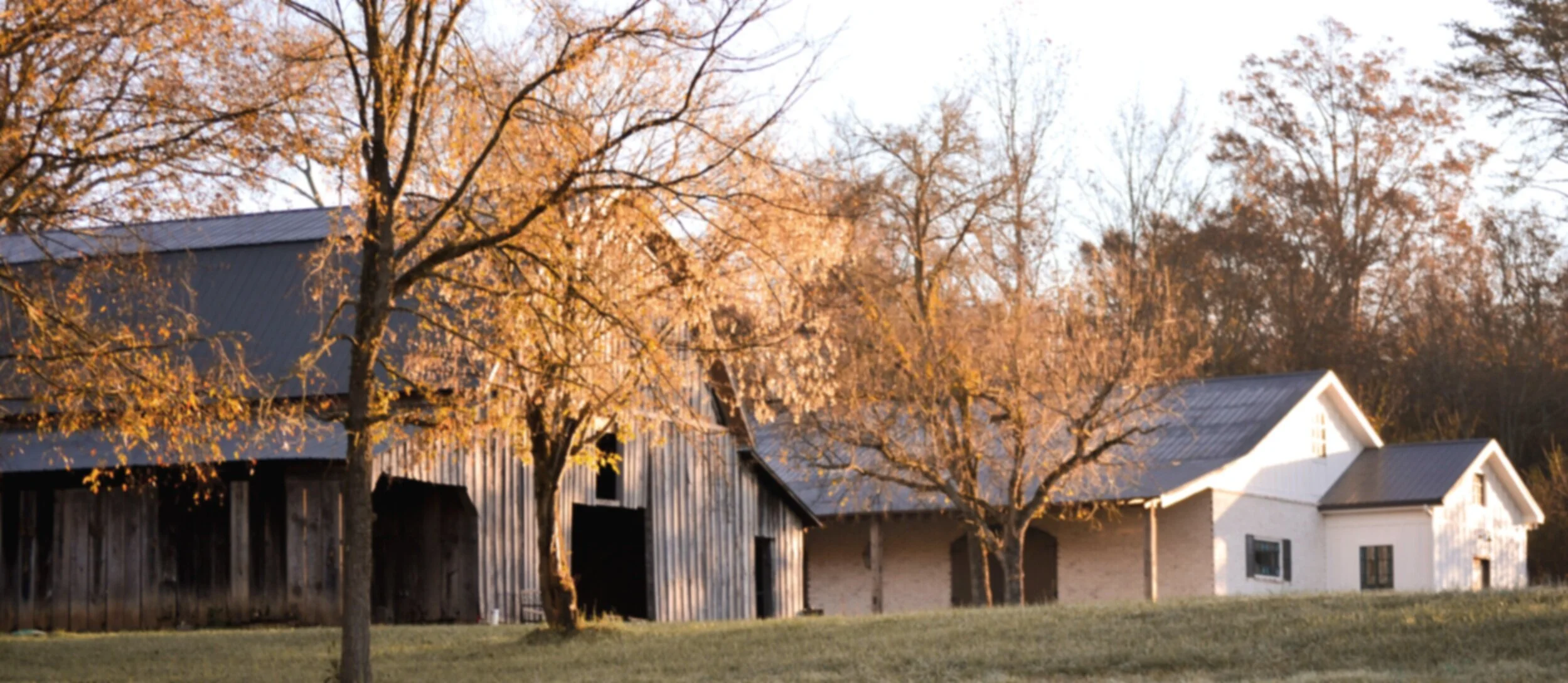 MAGNOLIA CREEK FARMS