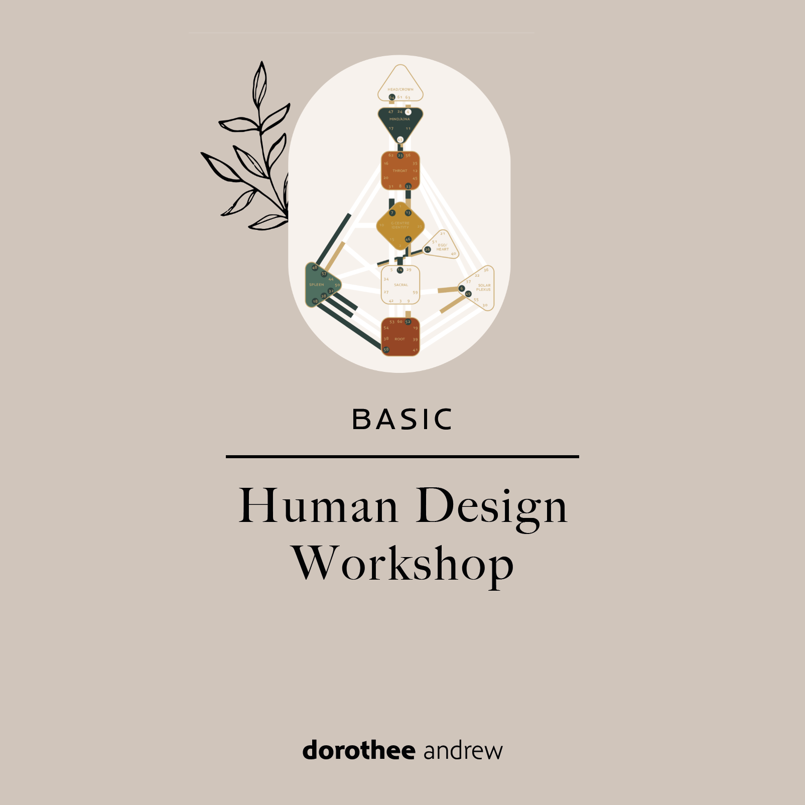 Human Design Guide und Mentoring — dorothee andrew