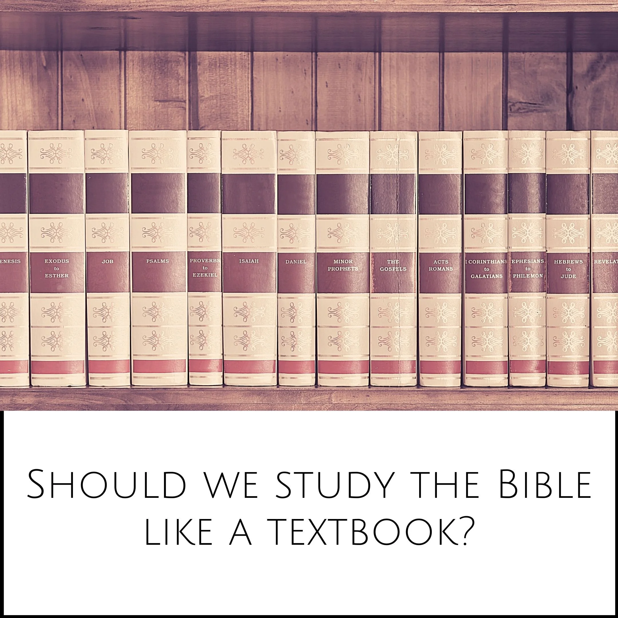 Blog 3 — Scripture Confident Living