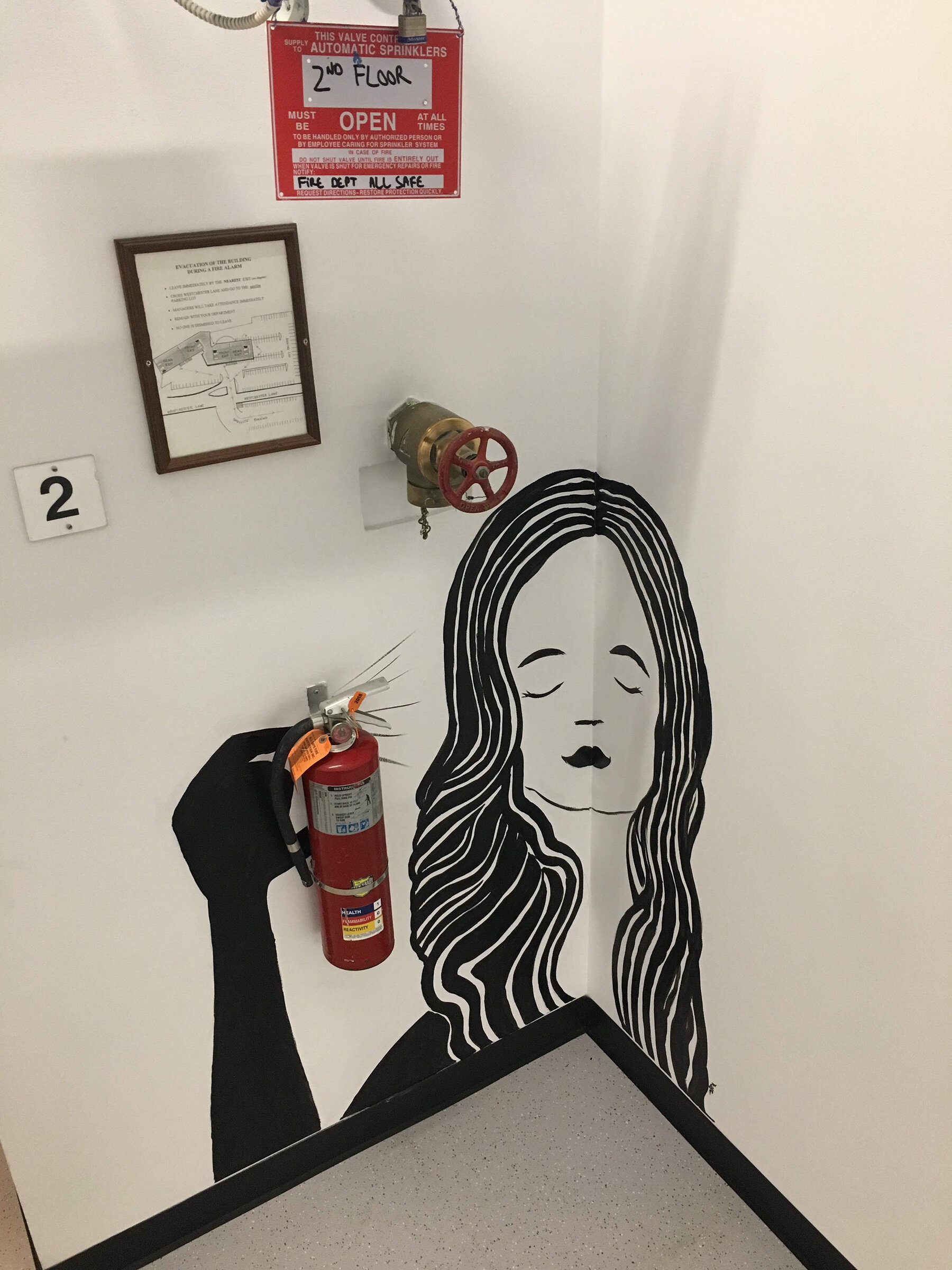 Custom Mural Projects — Elizabeth Katz