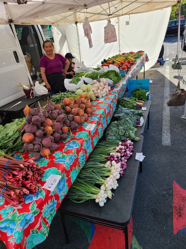 Stevens Square Community Organization