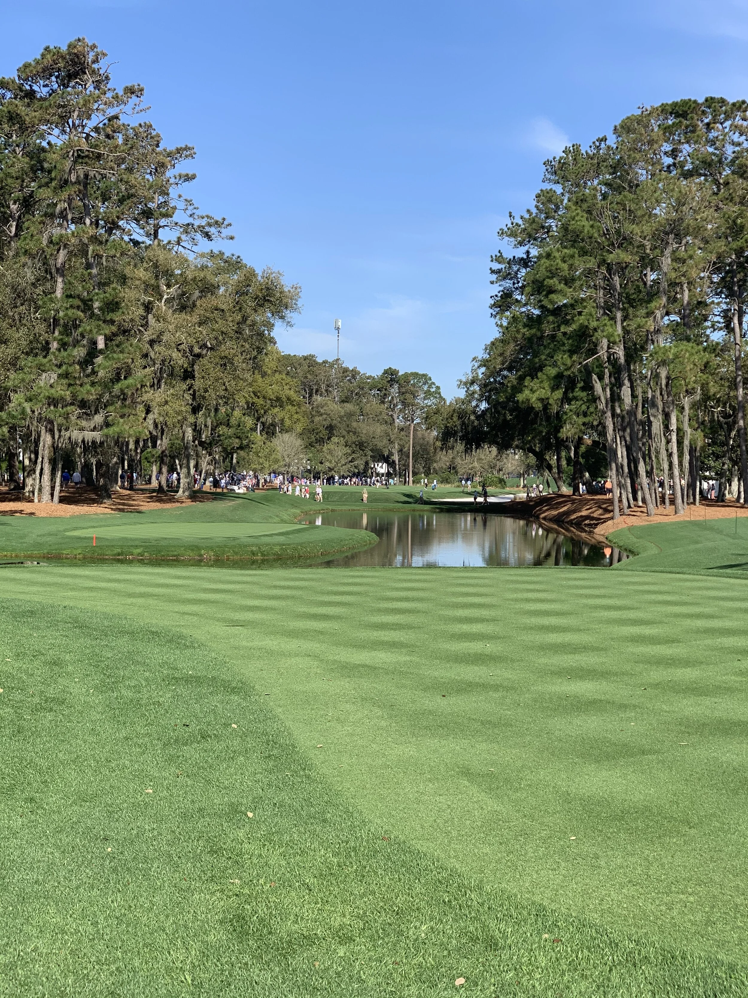 Gallery — ForeCollegeGolf
