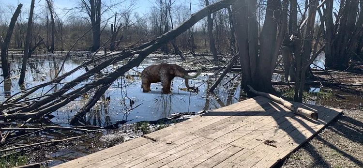 Mastodon Preserve — Johnstown, Ohio