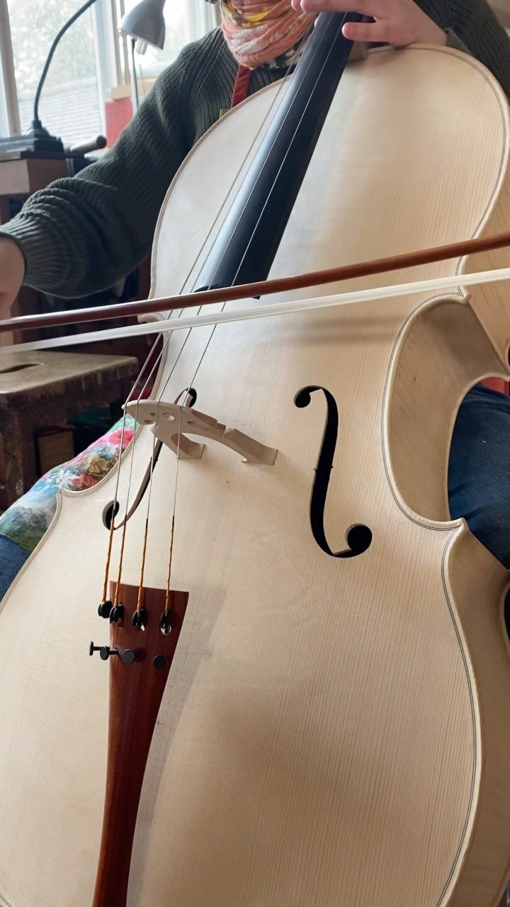 Hardy Violins in Sheffield