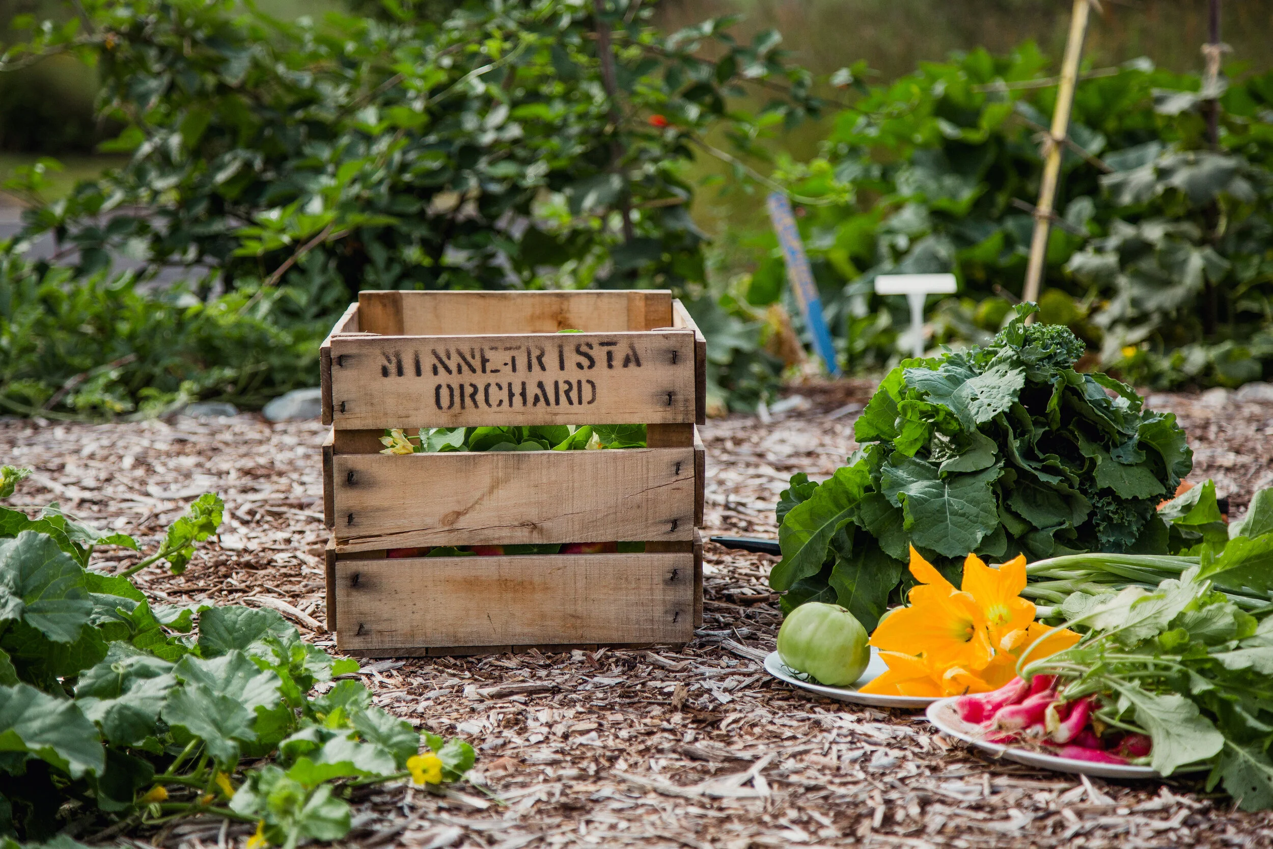 Gardens & Nature Area — Minnetrista