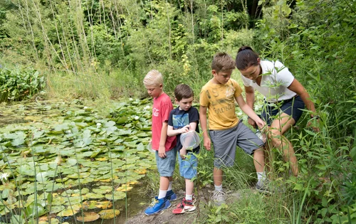 Plan Your Visit — Minnetrista