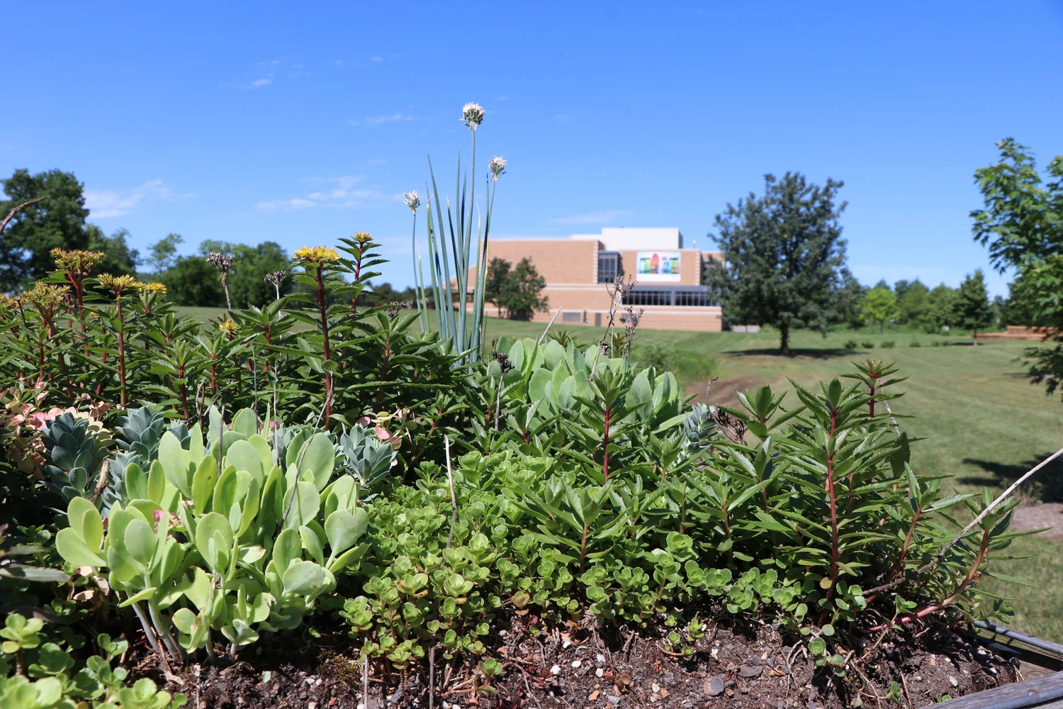 Gardens & Nature Area — Minnetrista