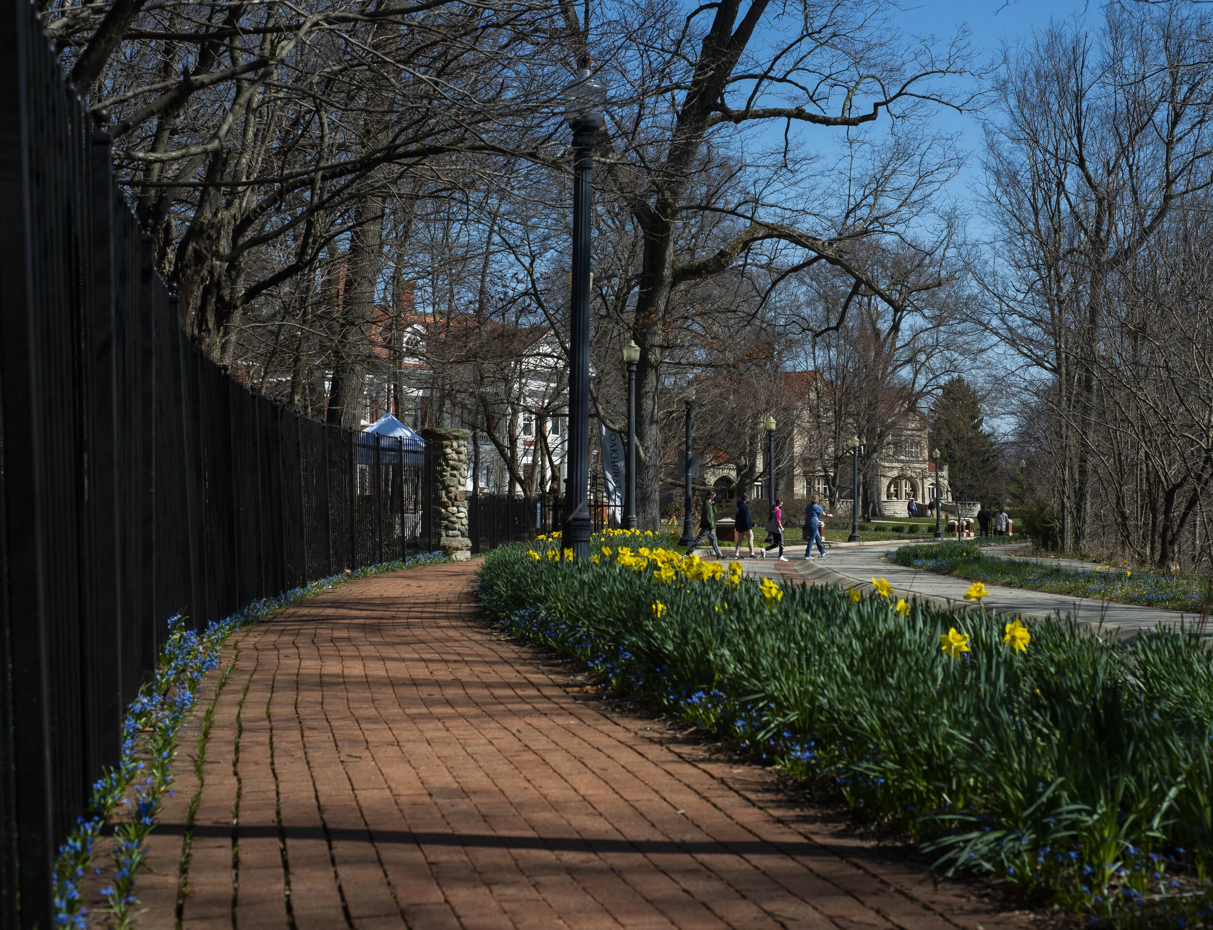 Preserving the Past — Minnetrista