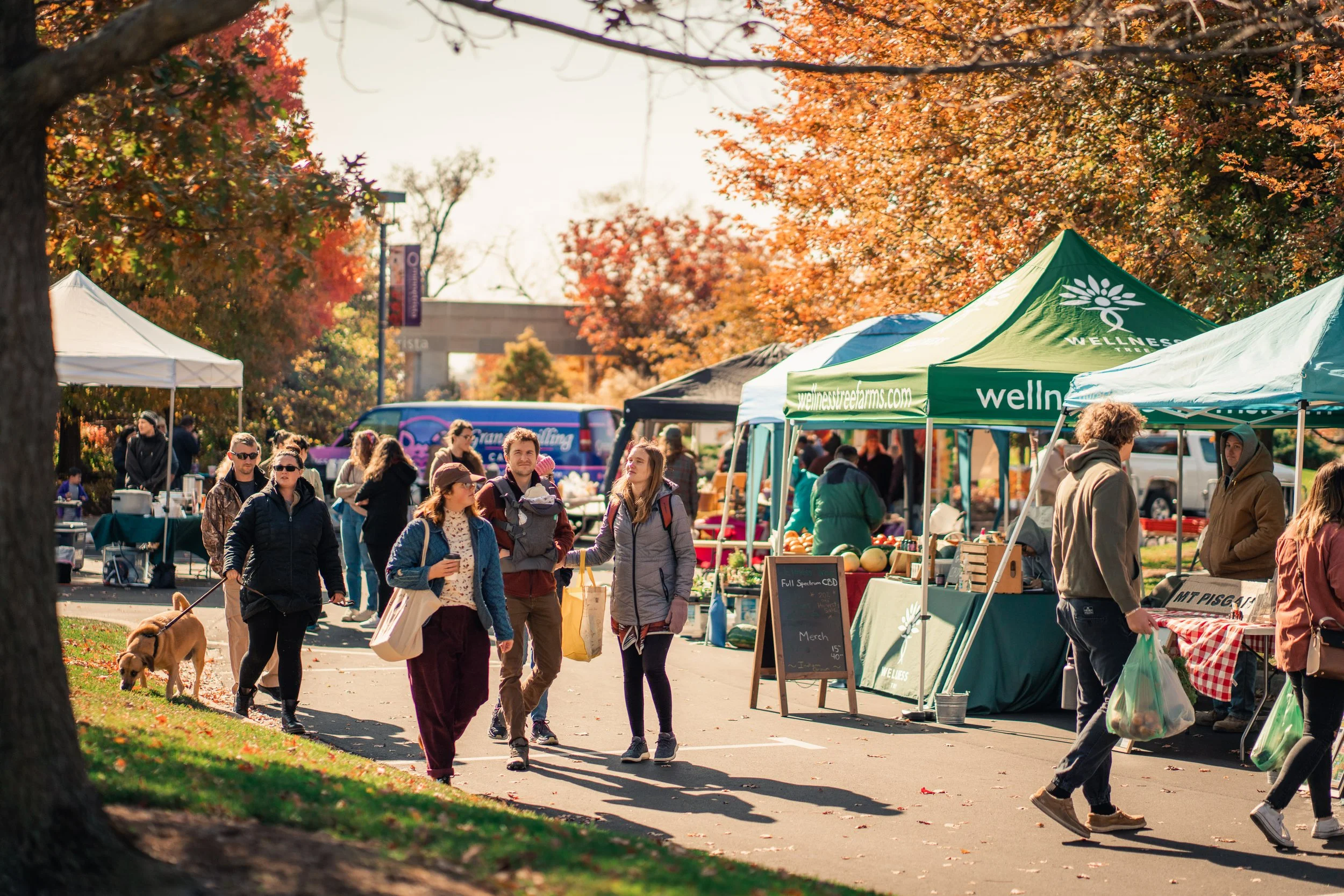 Farmers Market — Minnetrista