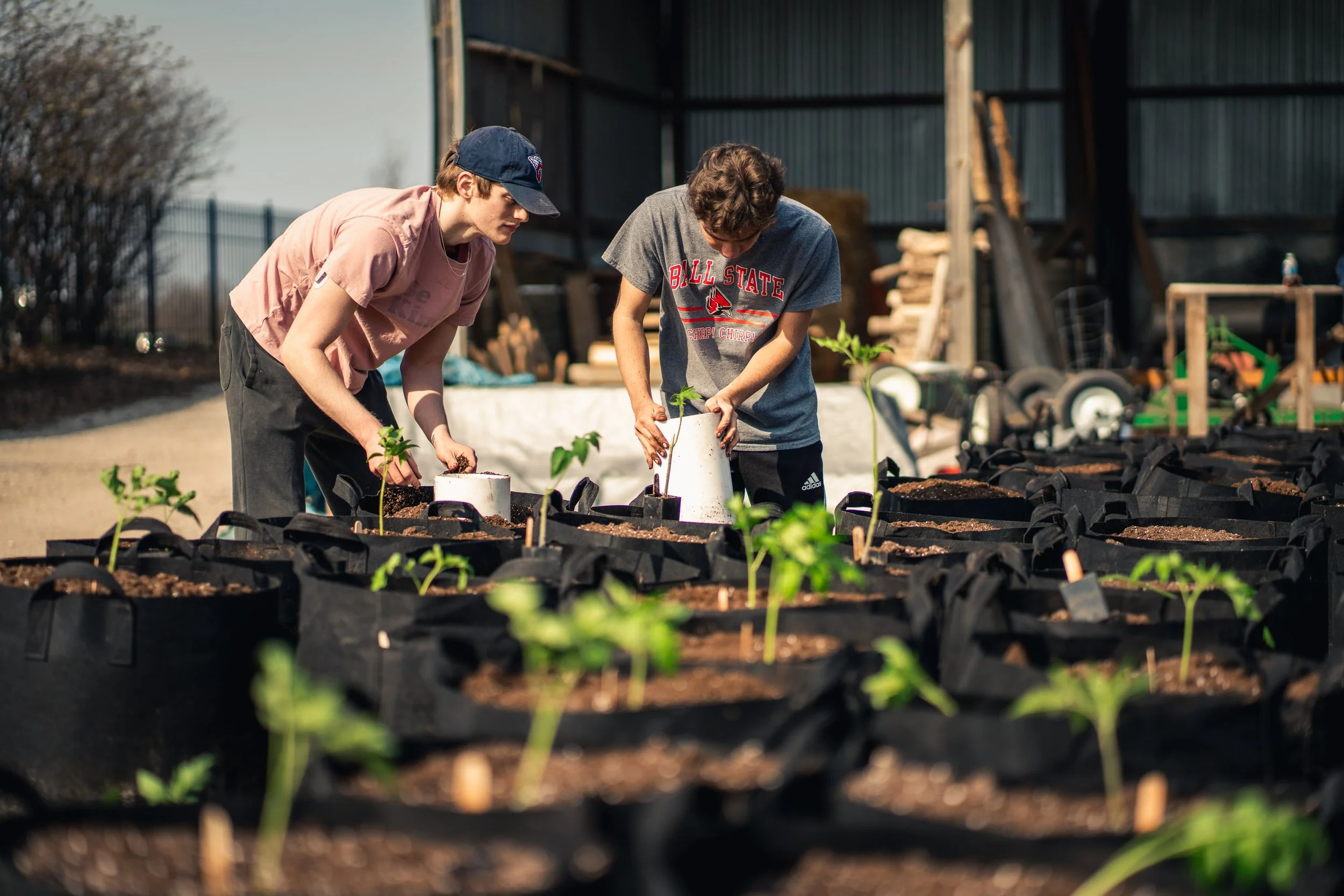 Volunteer — Minnetrista