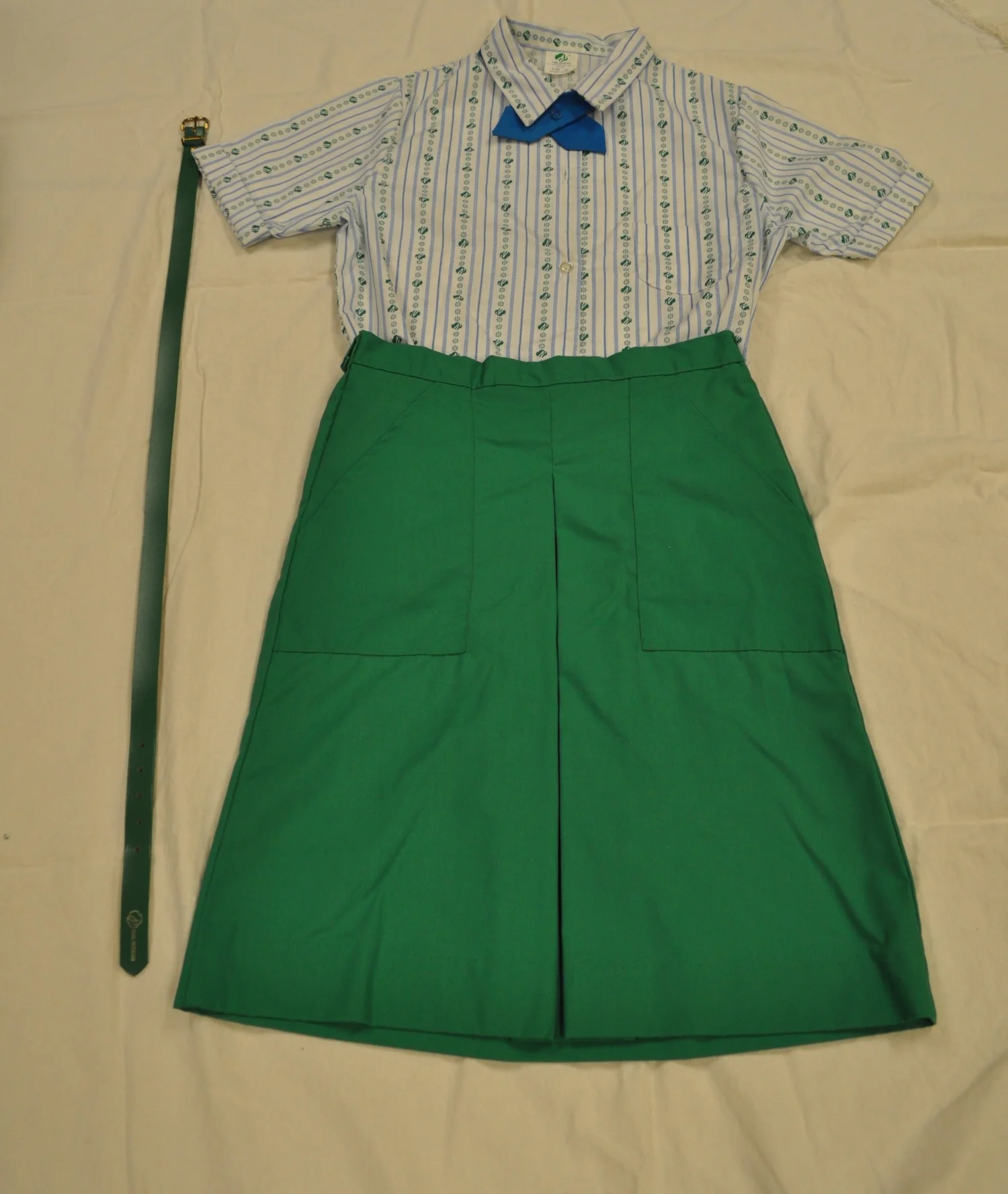 The Ever-Evolving Styles of the Girl Scouts — Minnetrista