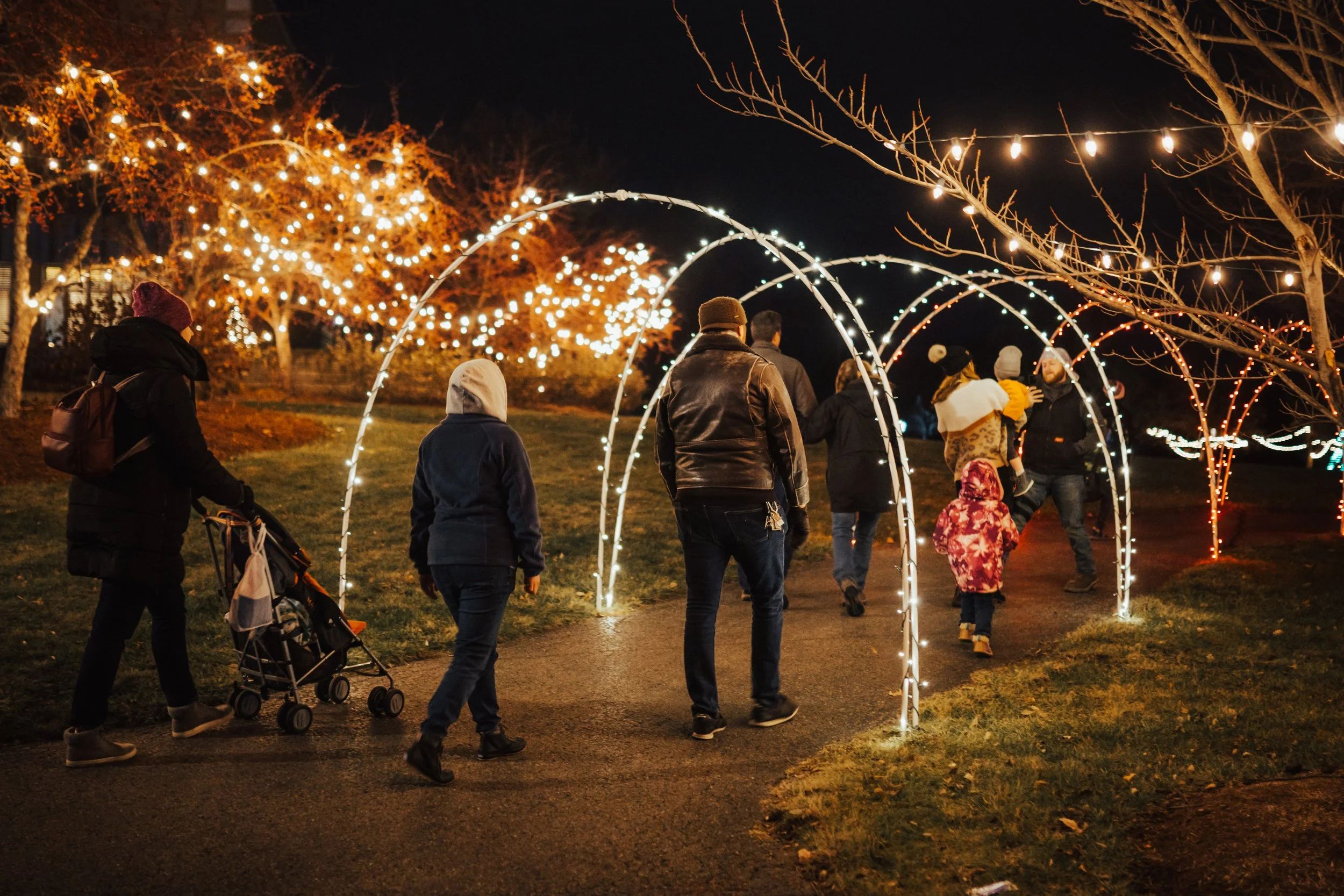 Enchanted Luminaria Walk Illuminates Minnetrista with Holiday Cheer ...