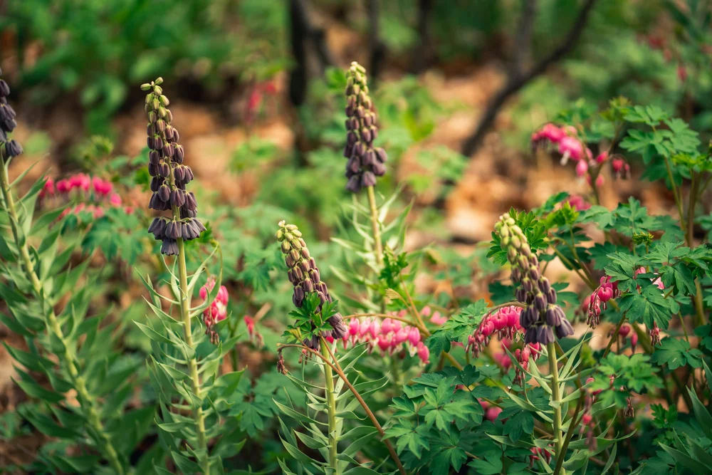 Exploring the Free Attractions at Minnetrista Museum & Gardens ...