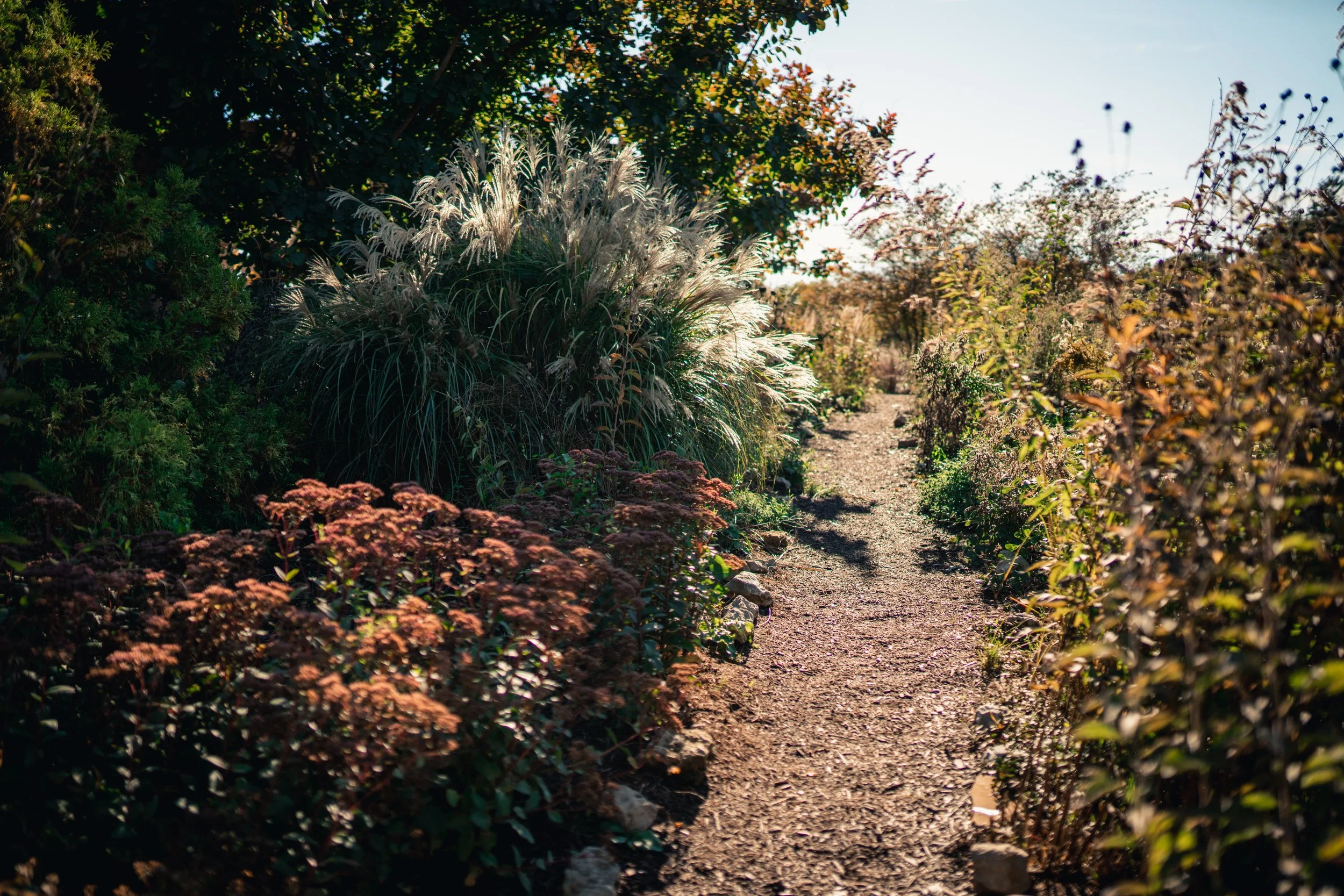 Gardens & Nature Area — Minnetrista