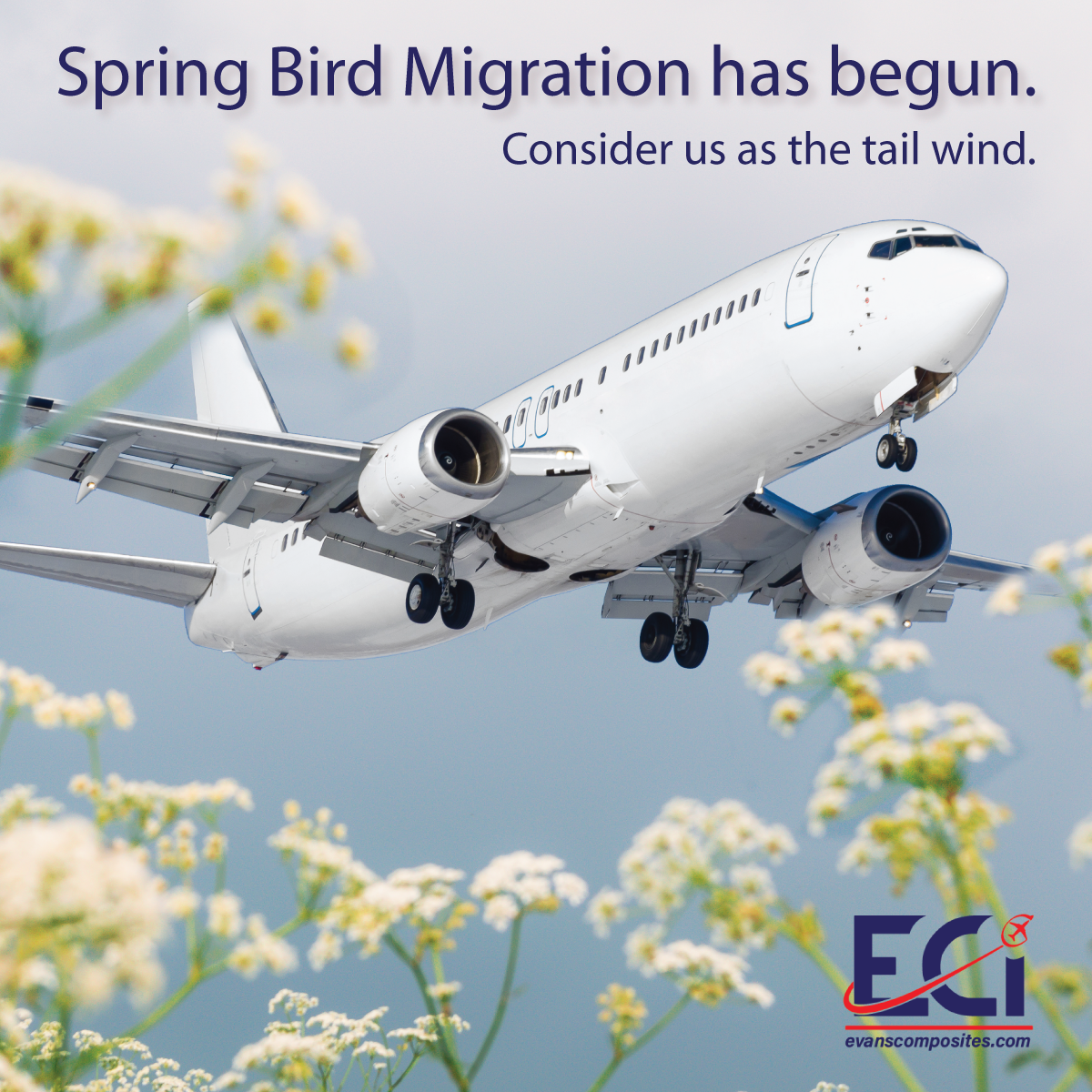 Media — Evans Composites