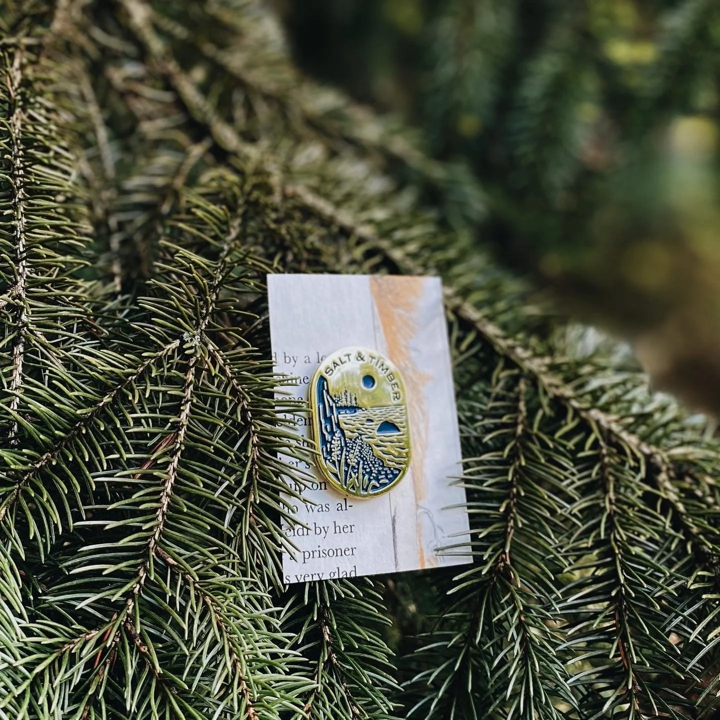 Salt & Timber Book / Pre-Order APRIL — Larkspur Knits by Lindsey Fowler