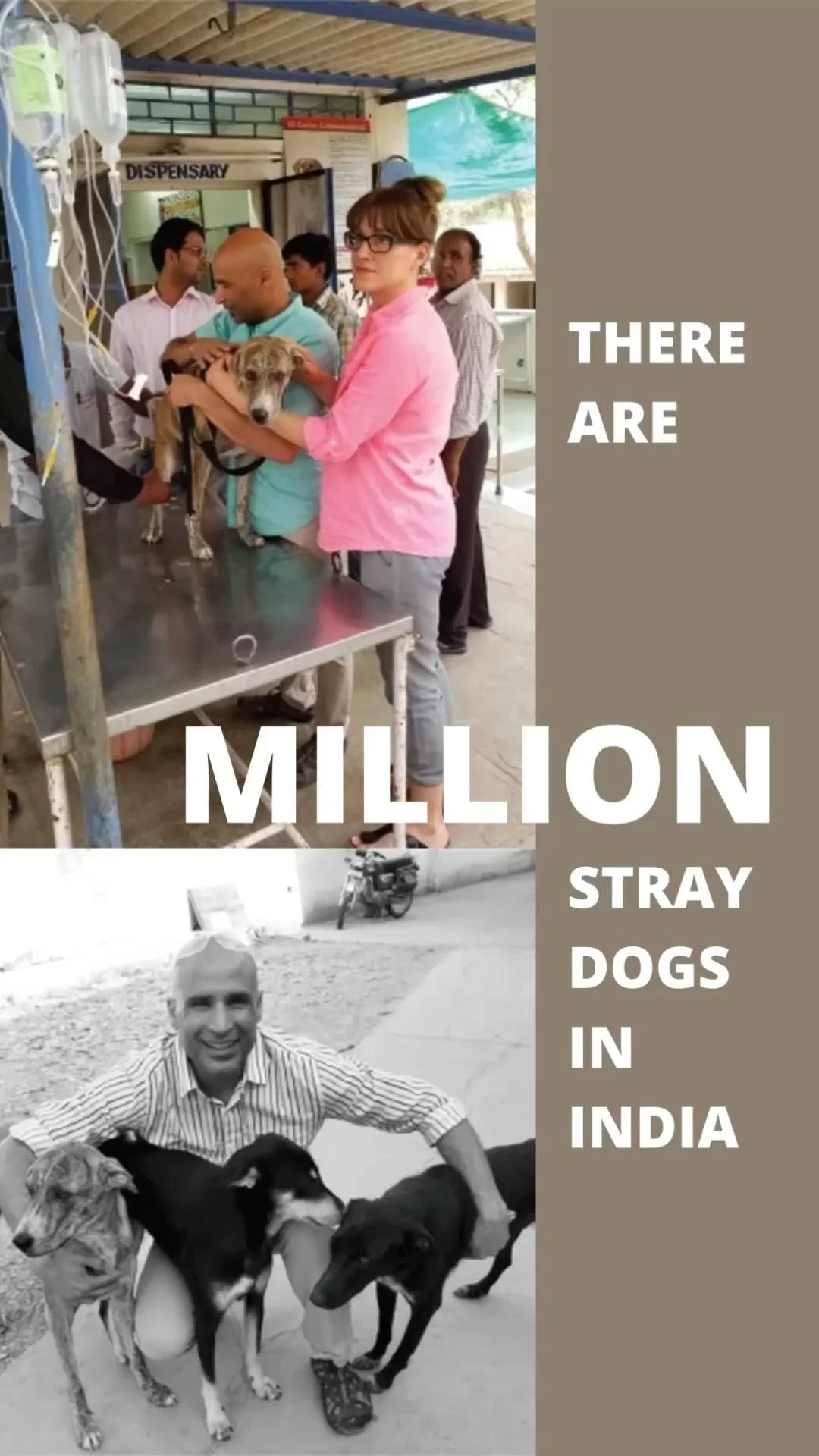 Pangaea Natural Stone®