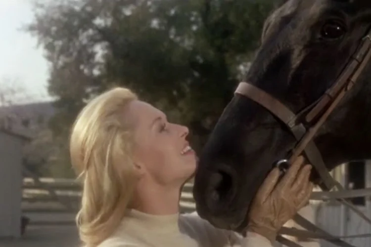 Tippi Hedren Marnie - Her Stunning 1960s Fashion - Classic Critics Corner