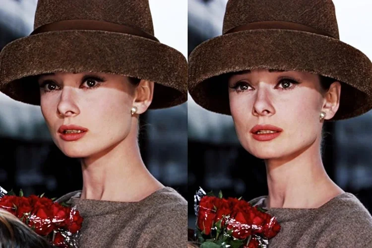 Audrey Hepburn Hair Down Color