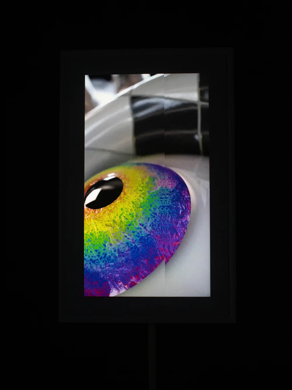 AUTOGENESIS — SU Art Galleries