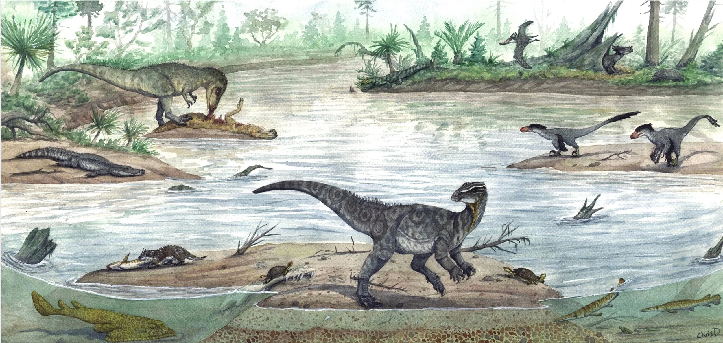 The Hell Creek Ecosystem | Discover Dinosaur Fossils Today ...