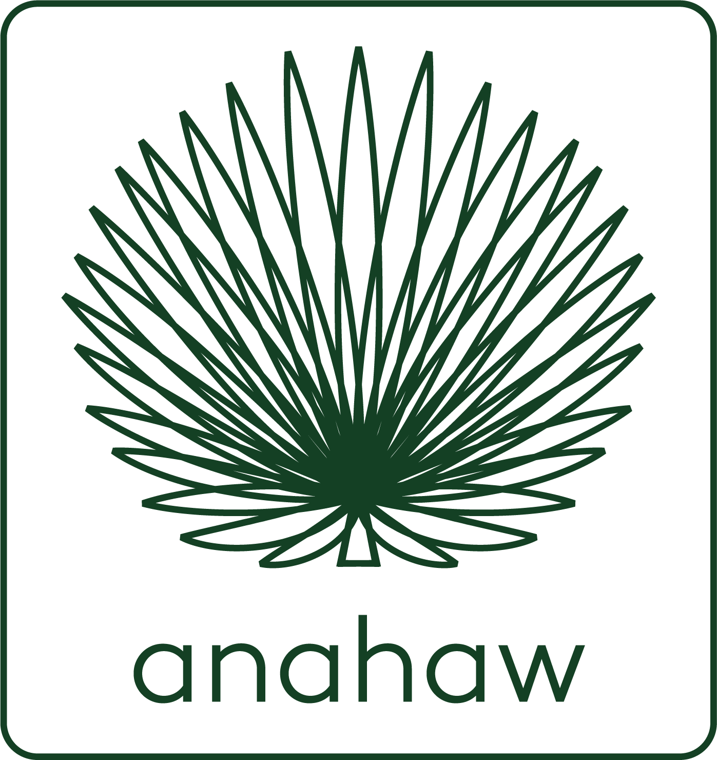 Anahaw Leaf Drawing
