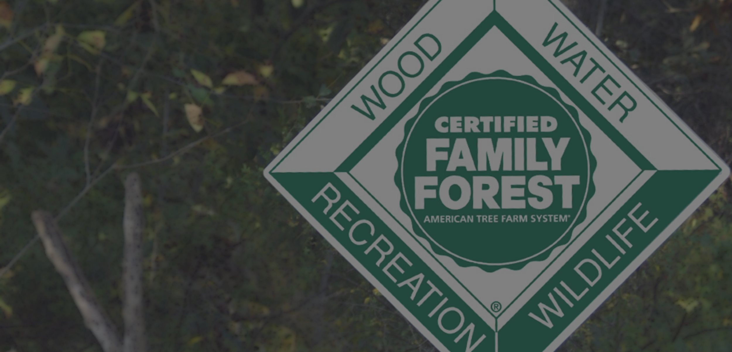 Alabama Forestry Foundation