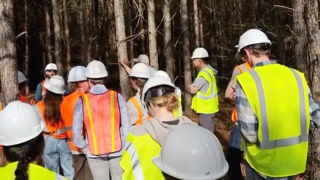 Alabama Tree Farm — Alabama Forestry Foundation
