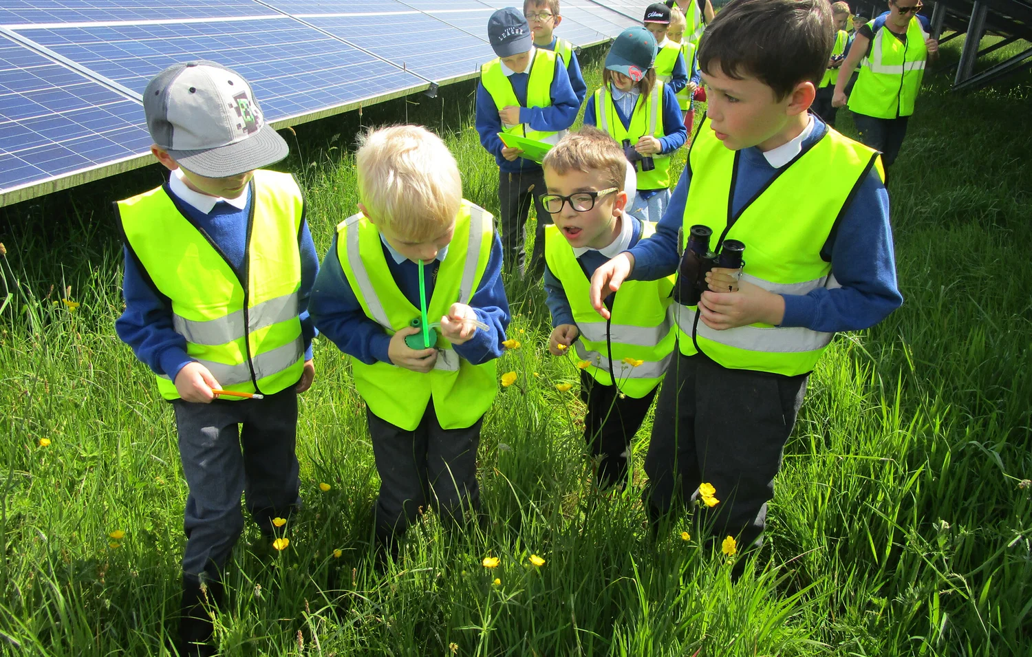 School visits — Earth Energy Education