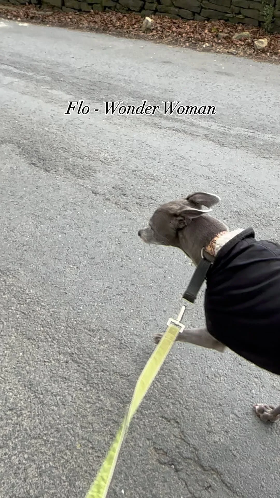 Notebook — Fiona Pickles