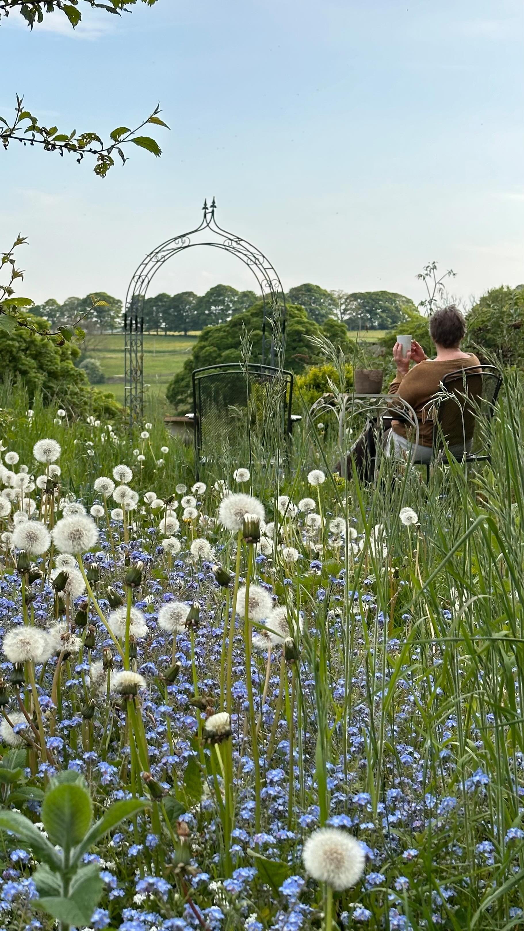 Notebook — Fiona Pickles