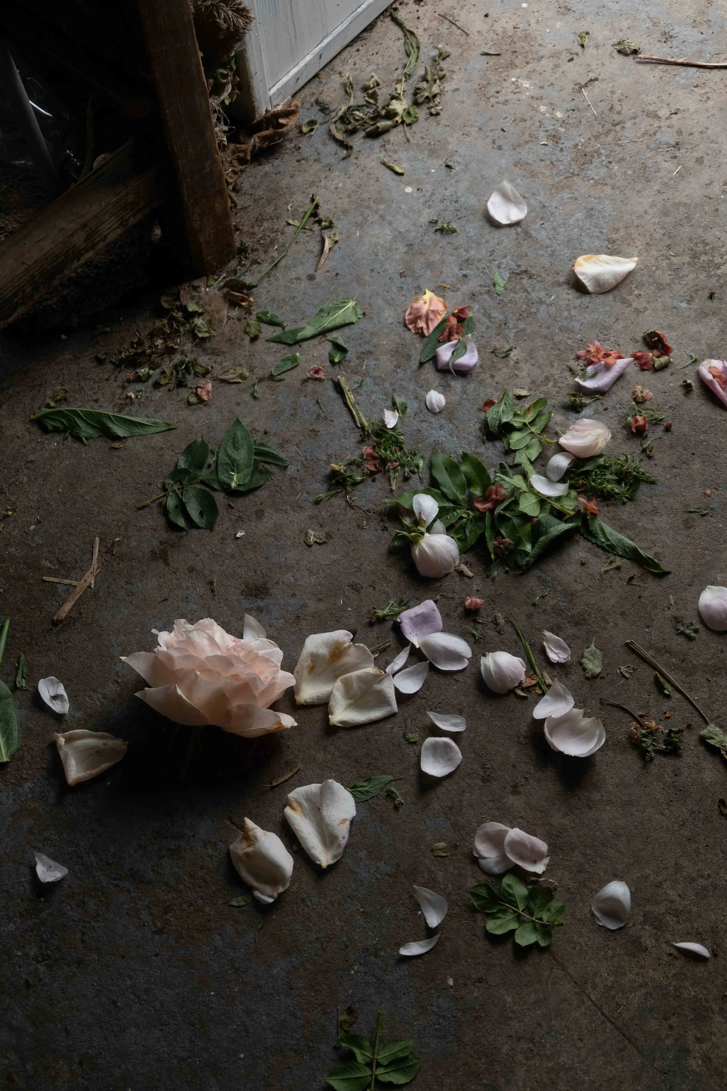 bio-sculptor & artist working with found items. Inspired by geology ...