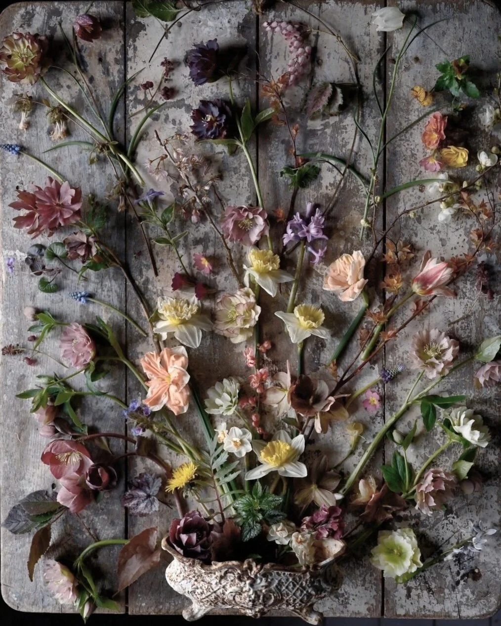 bio-sculptor & artist working with found items. Inspired by geology ...