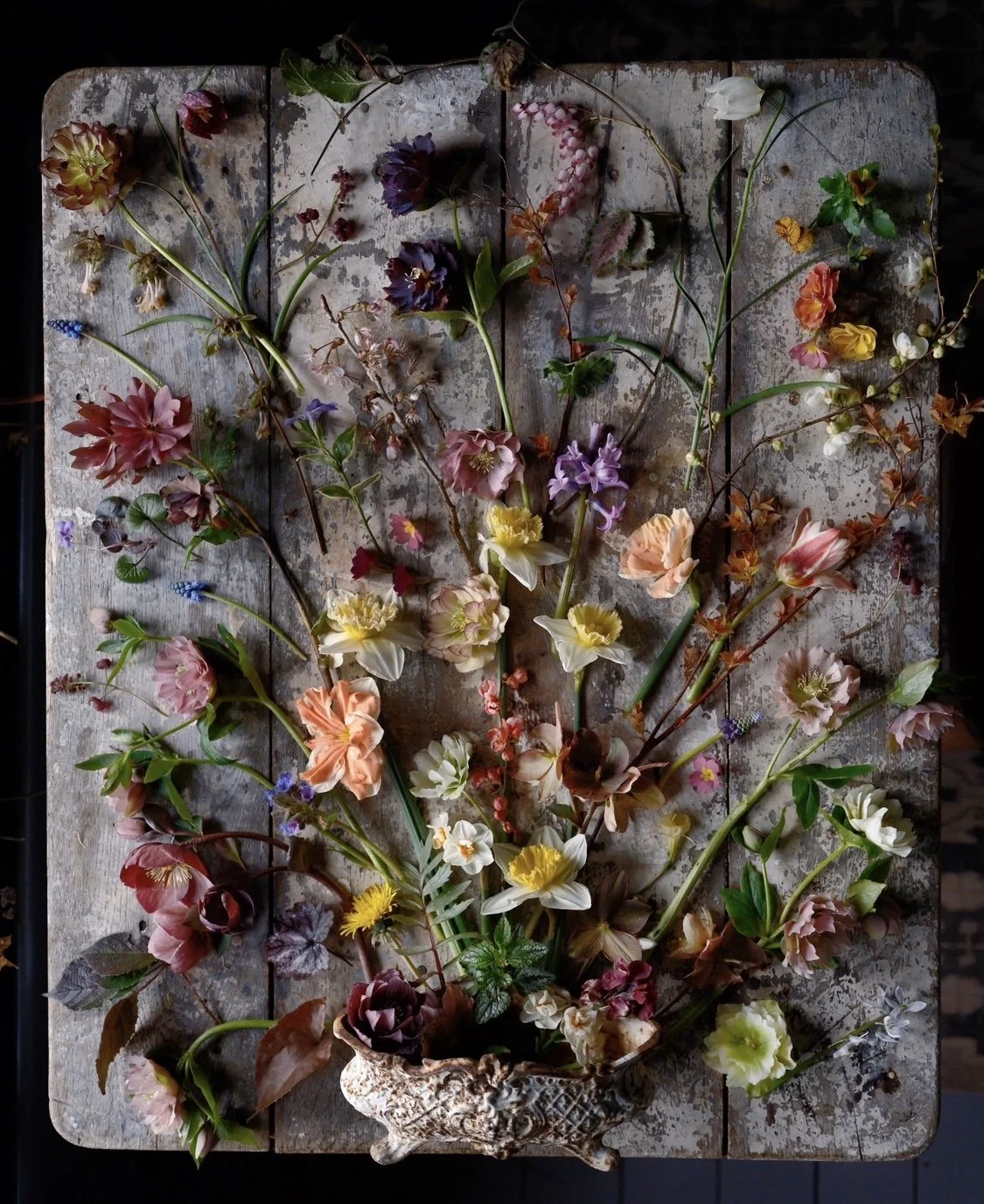 Floral Style and Profile — Fiona Pickles