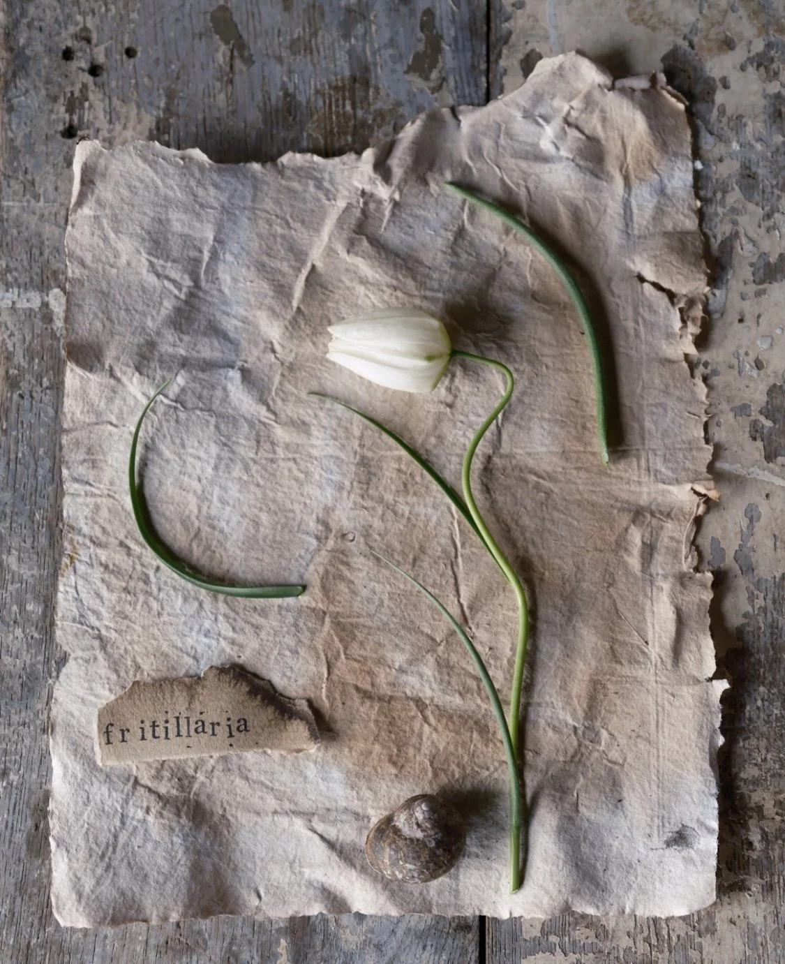 bio-sculptor & artist working with found items. Inspired by geology ...