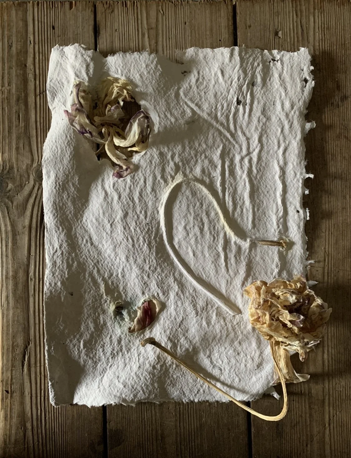 bio-sculptor & artist working with found items. Inspired by geology ...