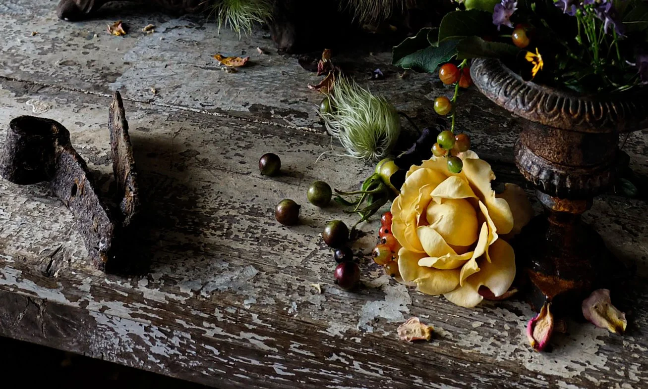 bio-sculptor & artist working with found items. Inspired by geology ...