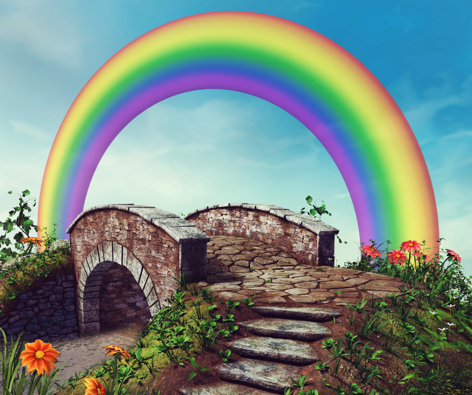 Paths 26/25 — David Wells