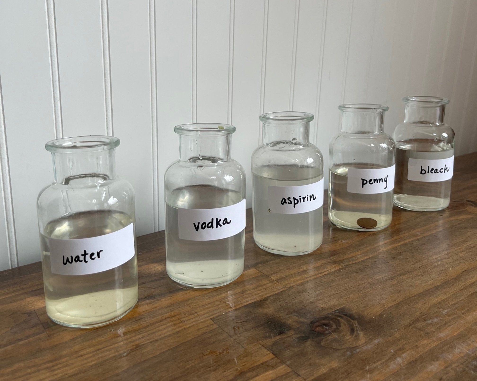 For Floral Sake | Duluth, MN Luxury Florist — Weddings, Events ...