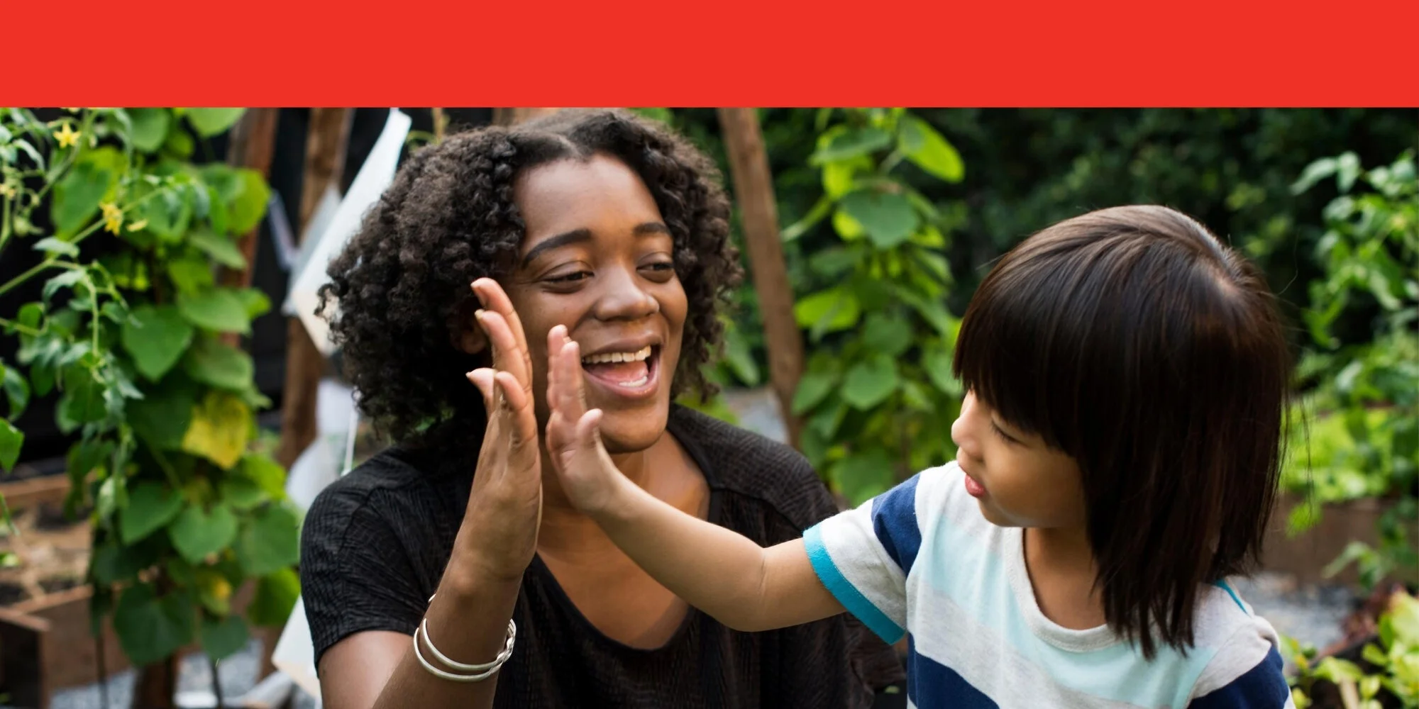 Network Resources — California CASA - Court Appointed Special Advocates ...