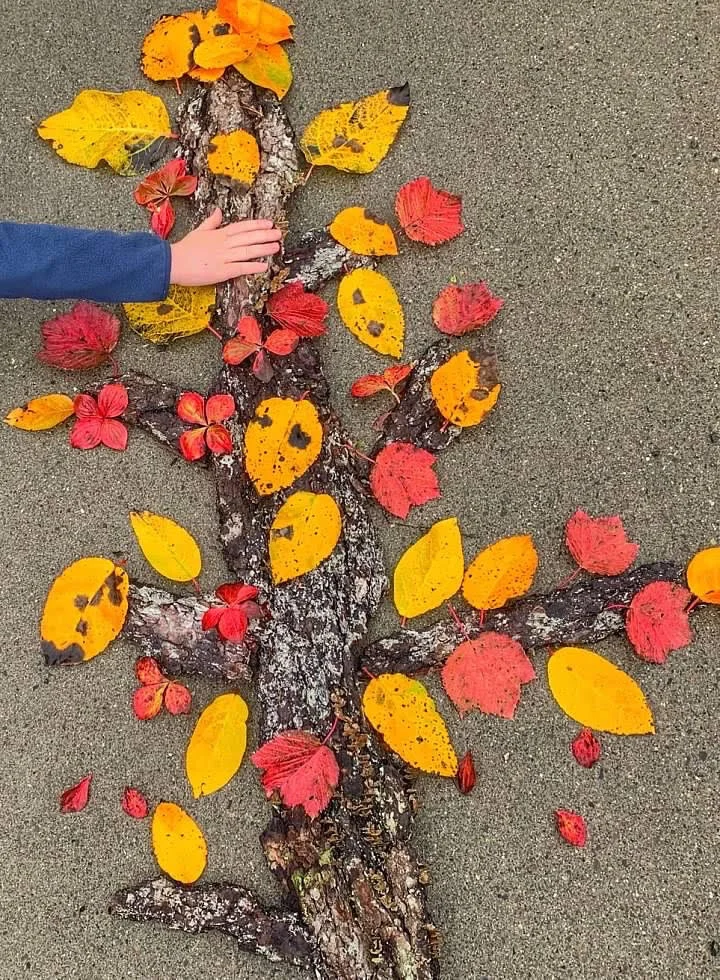Leaf Contest — Learning withOutdoors