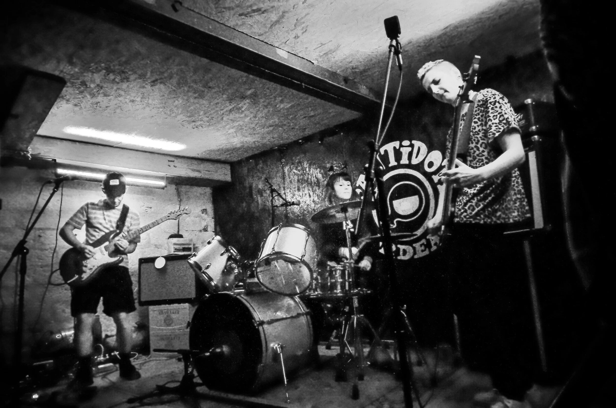Start Listening To: Radical Kitten — Still Listening